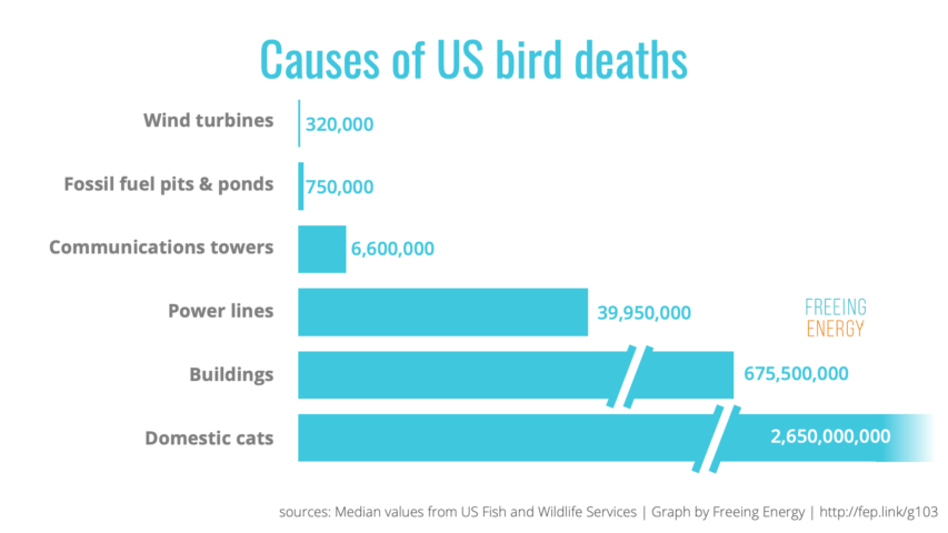 Fossil Fuels and Power Lines Kill More Birds than Wind Turbines