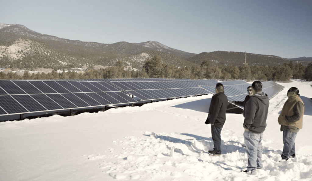 The best local energy advocacy organizations in 2021