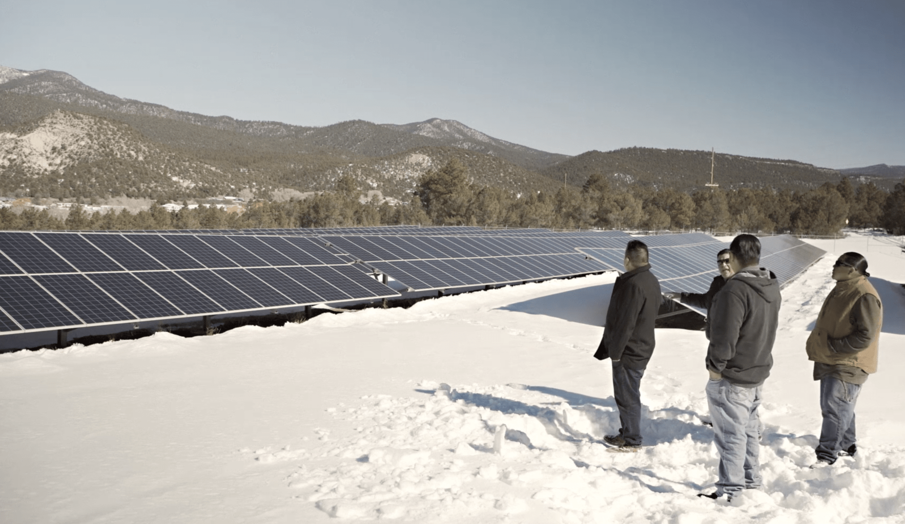 The best local energy advocacy organizations in 2021