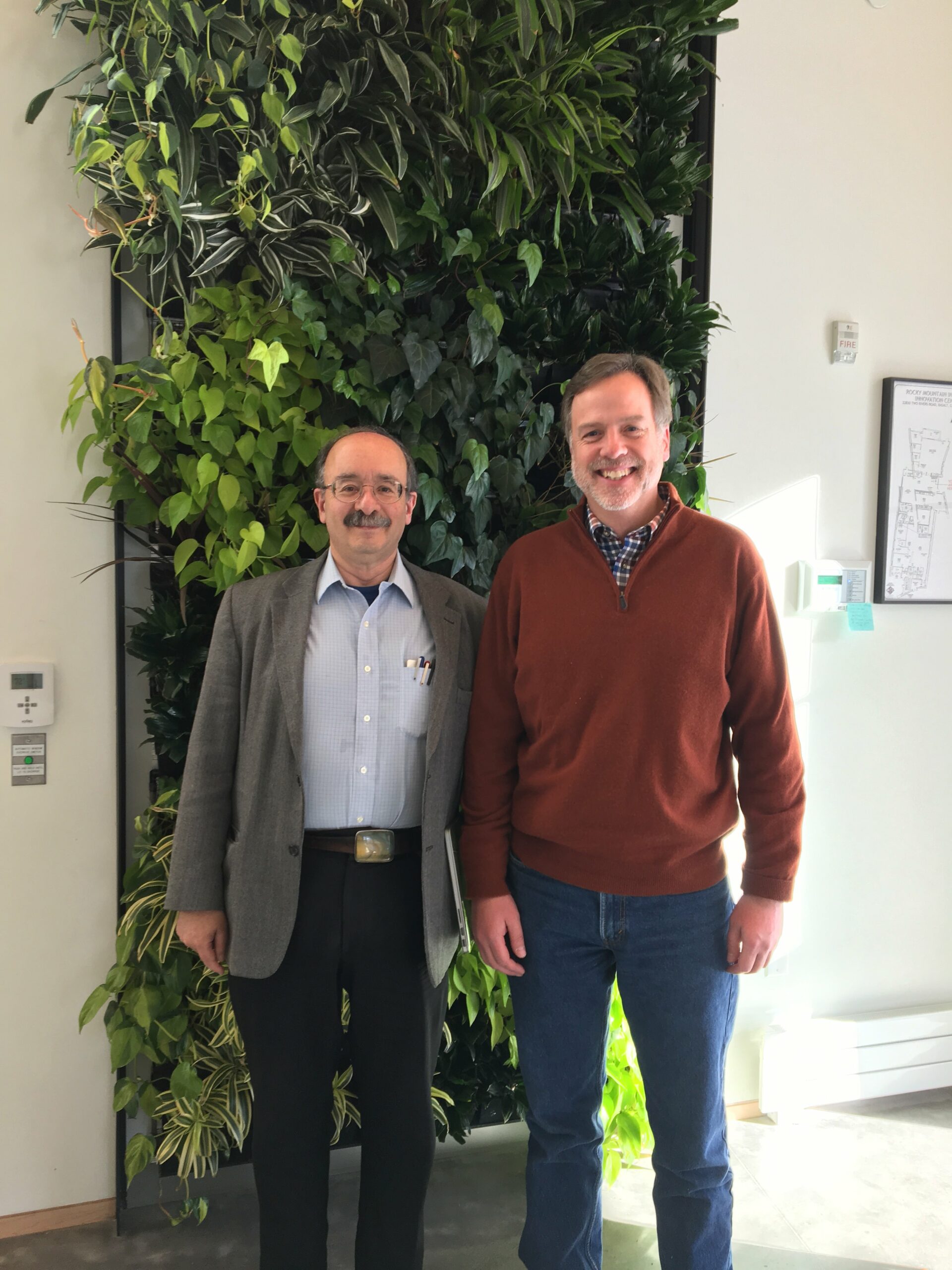 Small is Profitable & the Birth of Local Energy, Interview with Amory ...